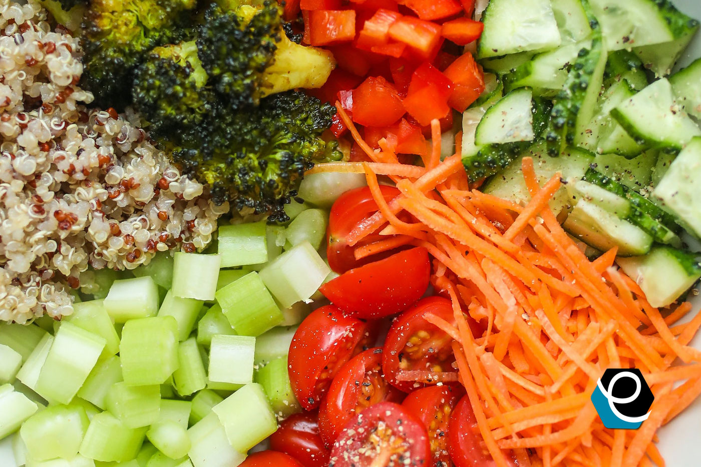 A Beginner's Guide to Healthy Eating: The E2M Diet